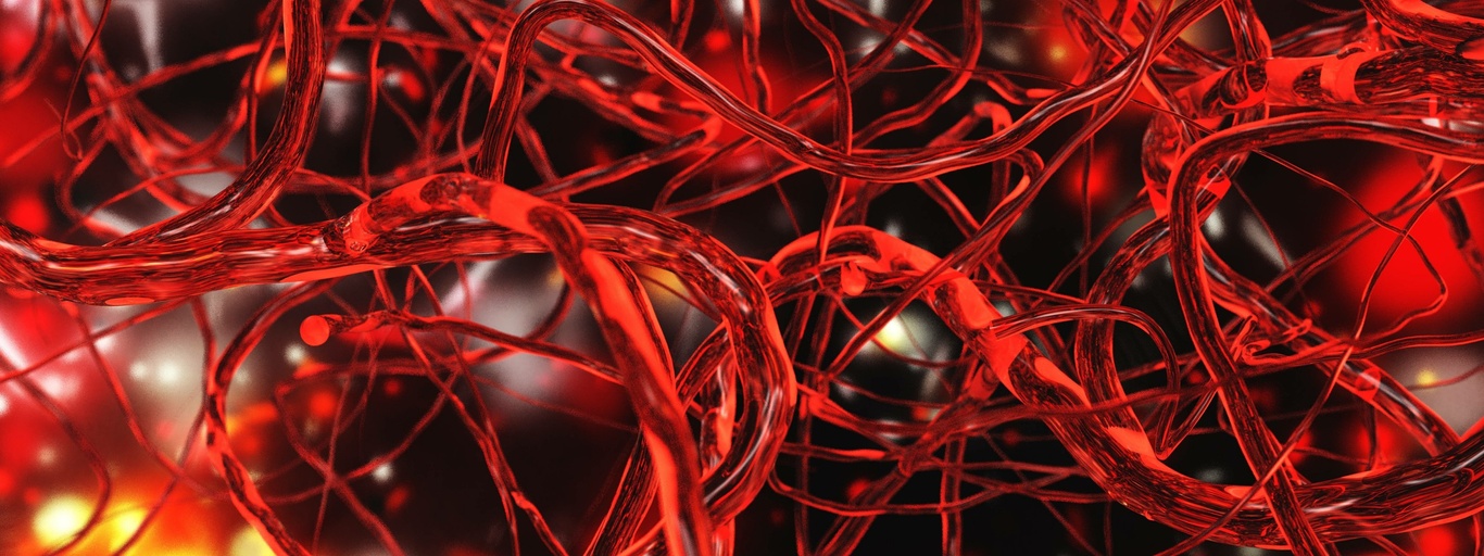 Czym jest skala SCORE i do czego służy?